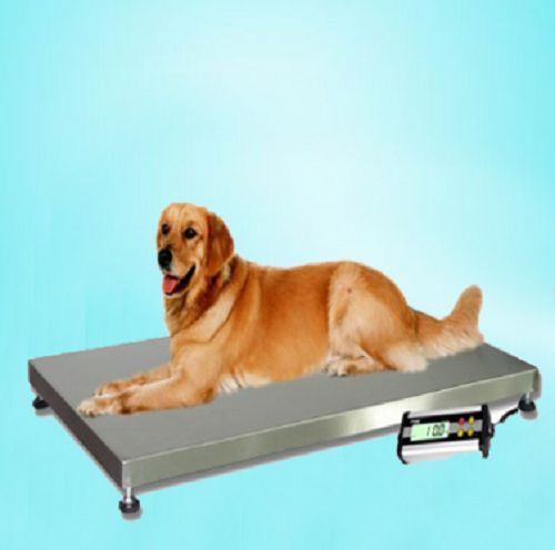 150 kg Vet Veterinary Animal Greyhound Dog Scale Floor Scales 900 * 600 ...