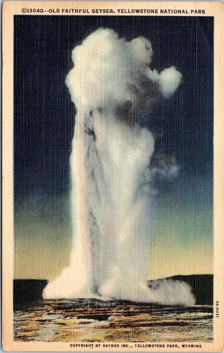 Old Faithful Postcard