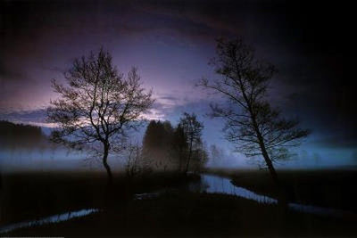 IN DREAMS - LANDSCAPE ART POSTER 24x36 NATURE SCENIC 1393 | eBay