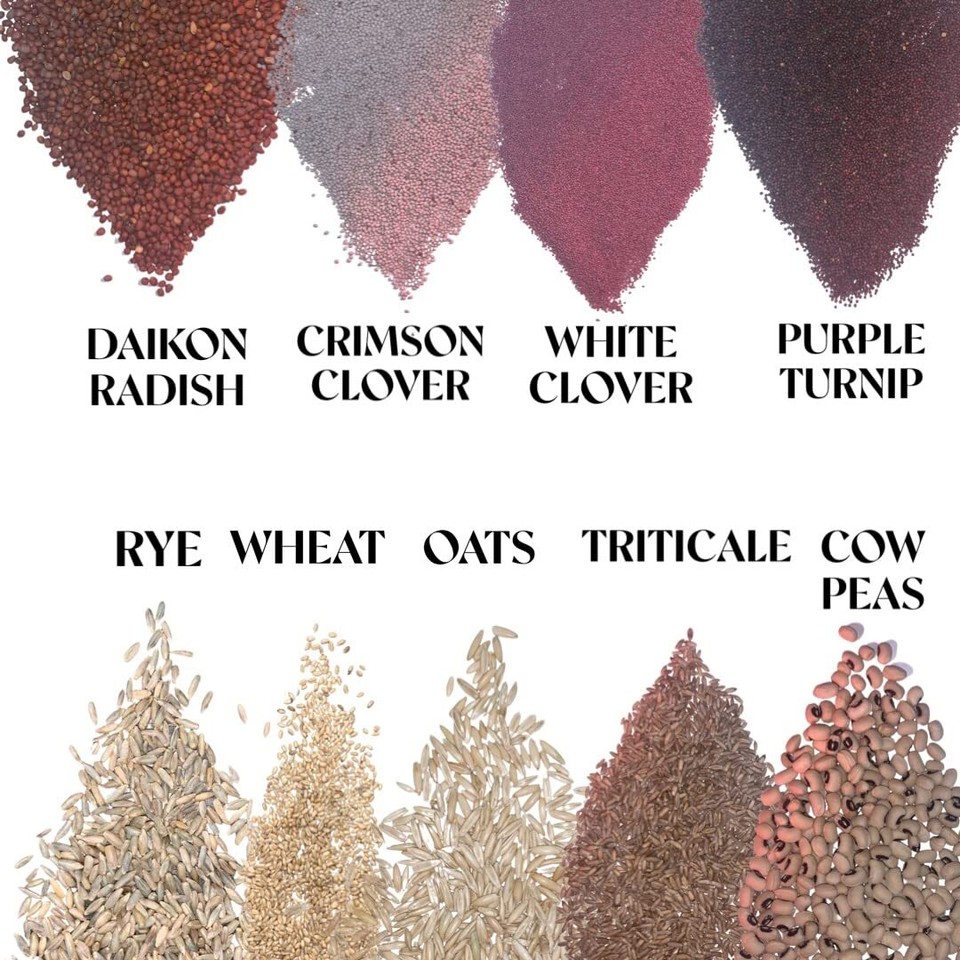 No-Till Cover Crop 10 Seed Mix - Winter Rye, White Clover, Austrian ...