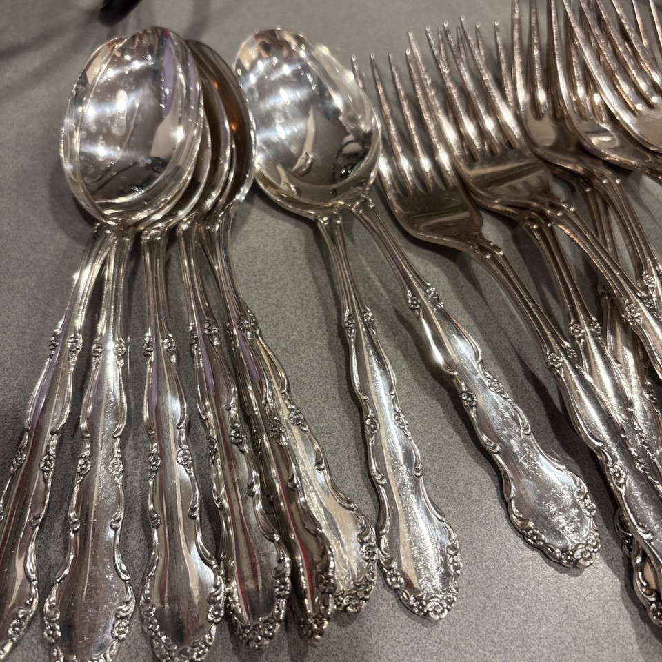 1881 Rogers Oneida Silver Plate Silverware Flatware 52 Piece VINTAGE | eBay