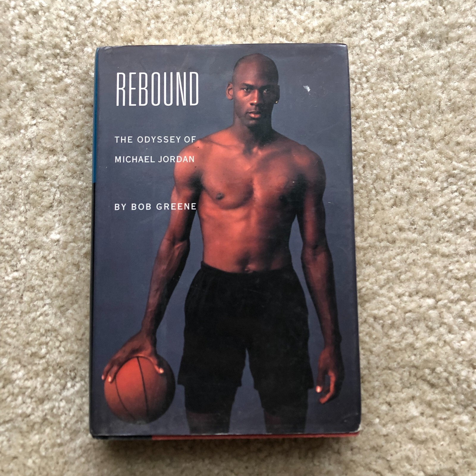 Rebound: The Odyssey of Michael Jordan Book (Bob Greene, NBA, 90s ...