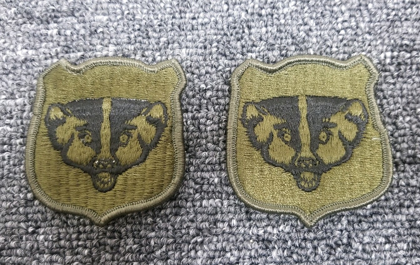 Wisconsin National Guard Badger Emblem Shoulder Patch Set of 2 U.S Army ...