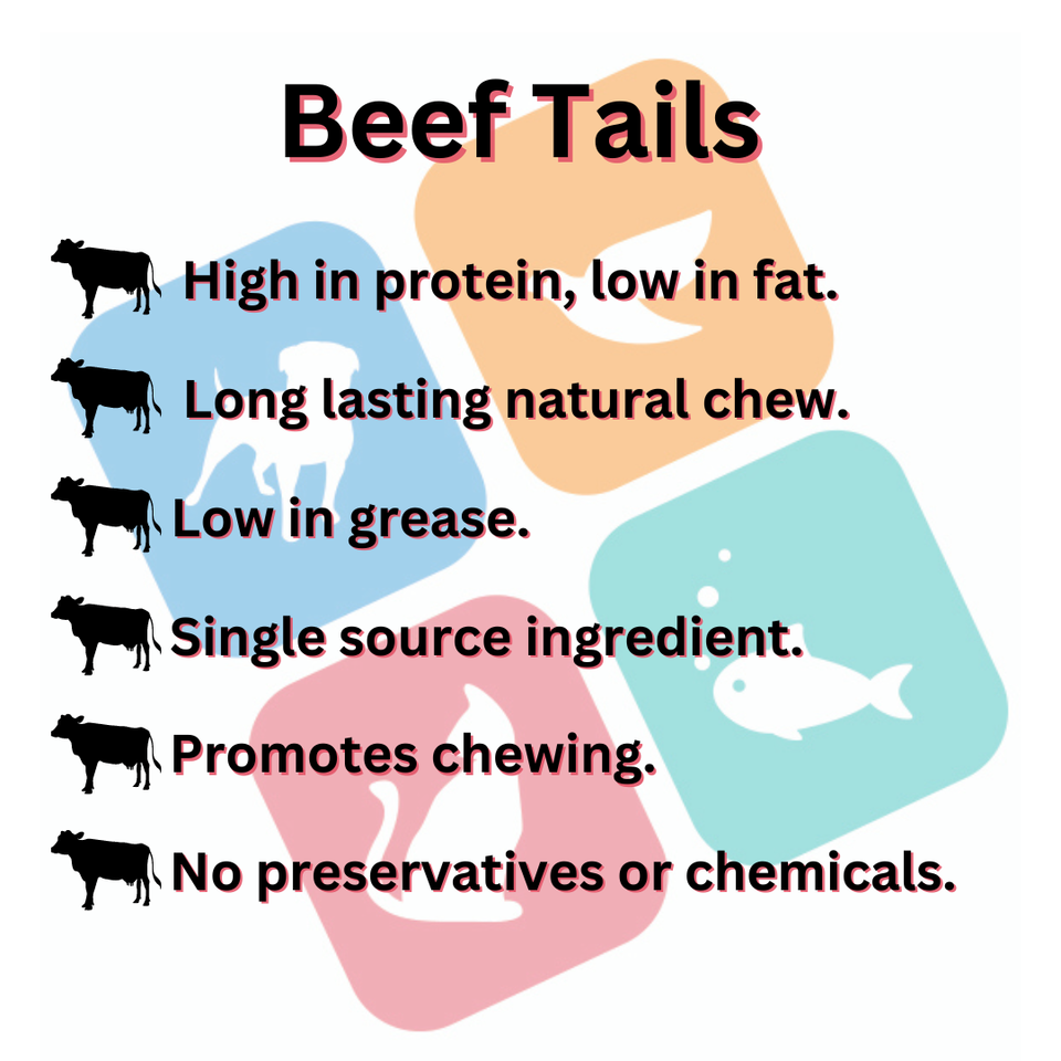Beef Bull Cow Tails Dog Treat Chew 6 Inch Low Odour Like Pizzle ...