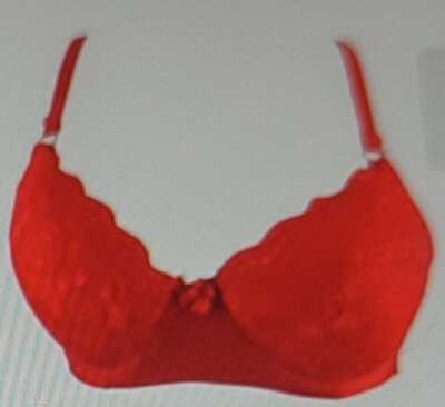 Z Red Lace Padded Bra Size 38B | eBay