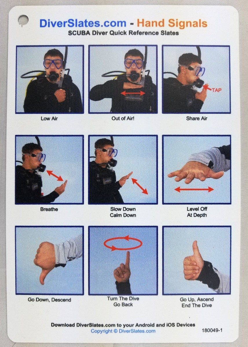 Eel Scuba Hand Signal Scuba Hand Signals. The Ultimate Guide (with