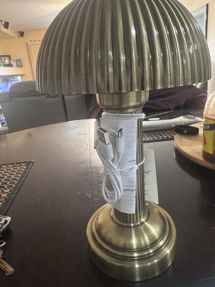 11.5 Metal Rechargeable Library Table Lamp Includes LED Light ...