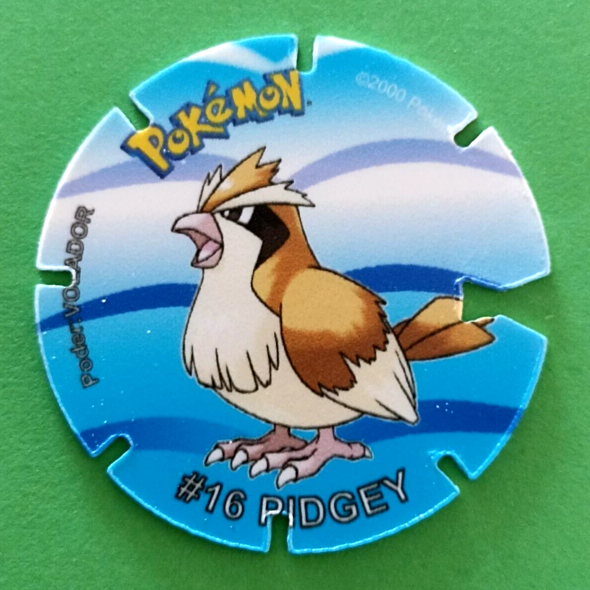 Pidgey Fly