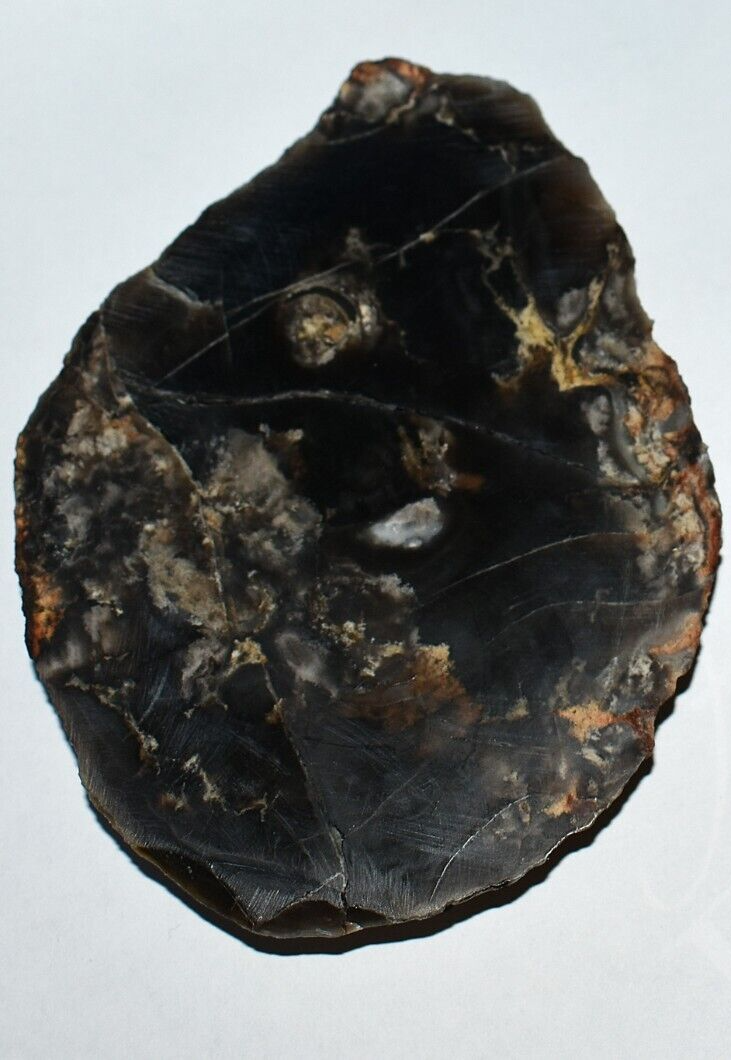 Black Agate Thunderegg Geode North Carolina Transparent Quality Coaster ...