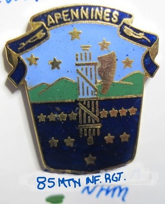 Army crest DI dui cb clutchback 85th MOUNTAIN INFANTRY REGIMENT inf rgt ...