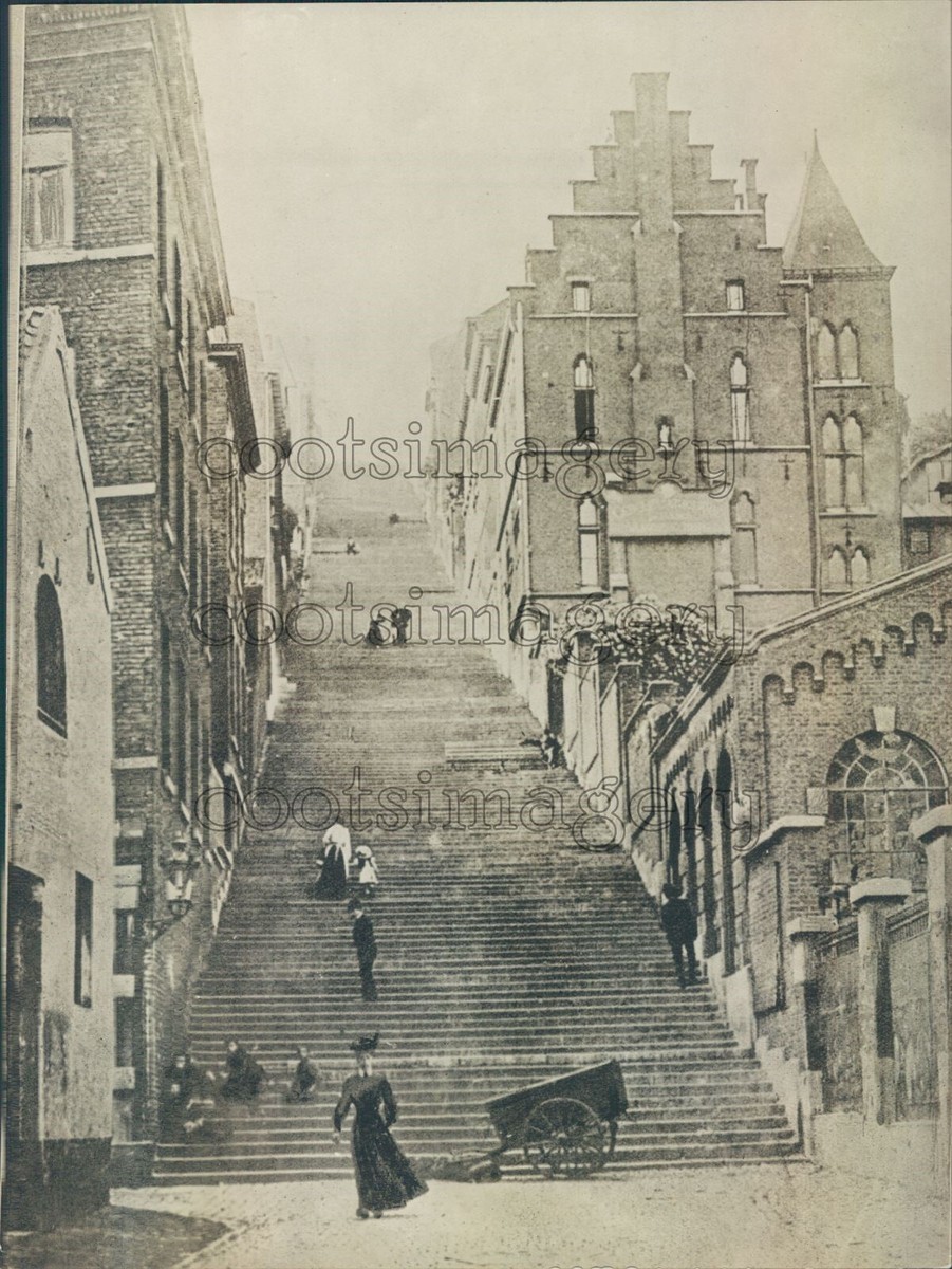 Contortion Performer Liege Book Contortionist Belgium August 2015