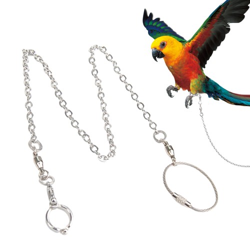Pet Bird Leash Parrot Foot Chain Plastic Steel Training Anklet Ring for ...