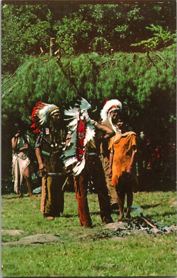 Vtg Postcard, Chief Red Fox, Chief Roaring Bull and Medicine Man Lone ...