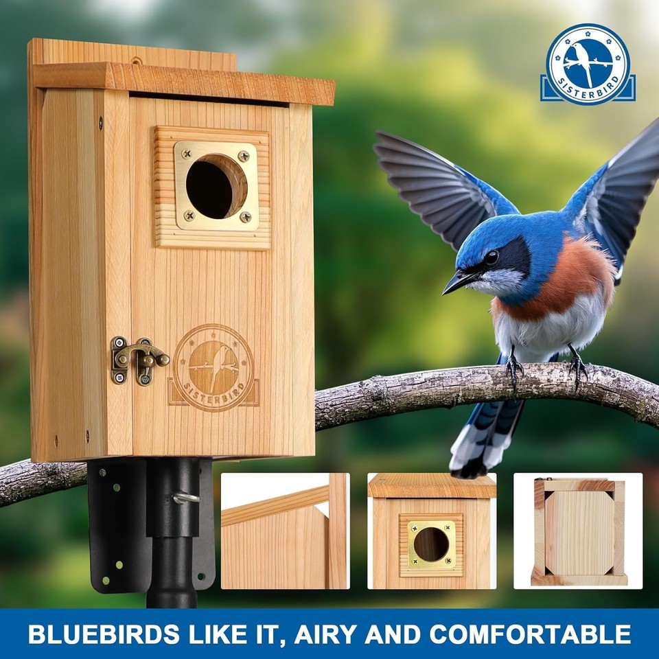 2-Pack Cedar Bird Houses with Copper Guard Outdoor for Bluebirds Wrens ...