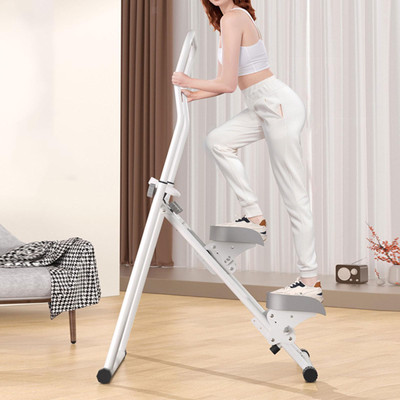 Vertical Climber Compact Stair Stepper for Living Room Home Gym ...