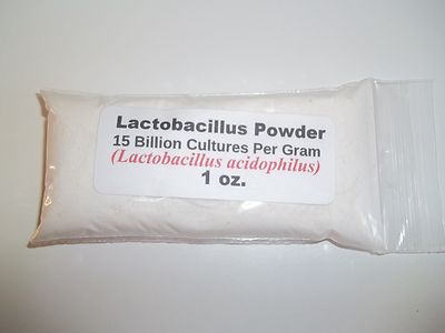 1 oz. Lactobacillus Acidophilus Probiotic Powder 15 Billion Cultures ...