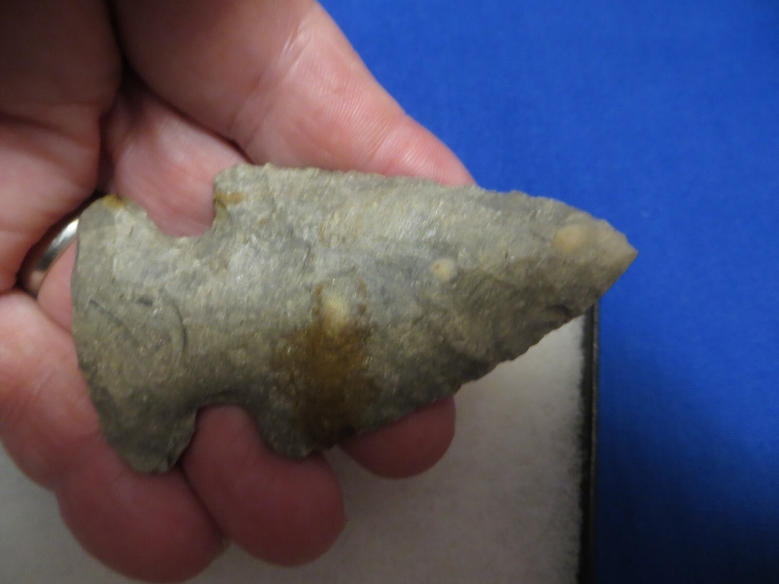Archaic Bevel Arrowhead Point Delaware Chert Licking Ohio Utt ...