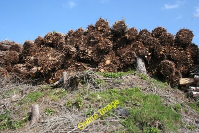 Photo 6x4 Brash Stack Torrieston This is something I have never seen ...