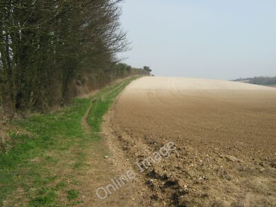 Photo 12x8 Hedgeline on Old Downs East Studdal As seen from a footpath ...