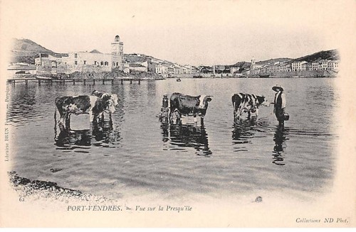 66 - PORT VENDRES - SAN30917 - Vue sur la Presqu'ile | eBay