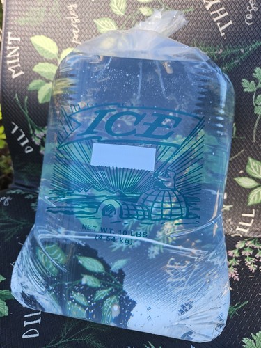 1000 Beautiful clear Ice bags 10lb with Twist Ties . | eBay