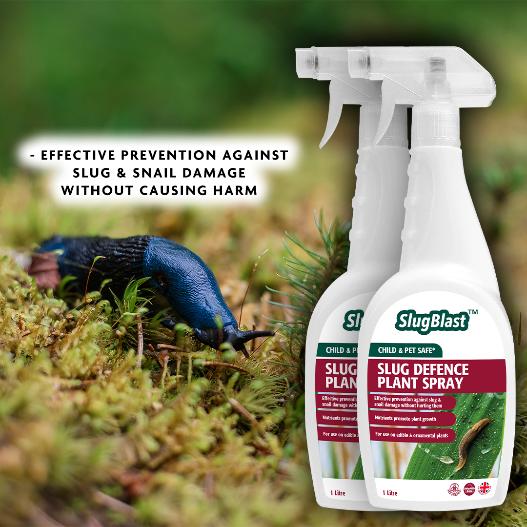 Slug Defence Plant Spray 2 x 1L Child Pet Pollinator Friendly SlugBlast ...
