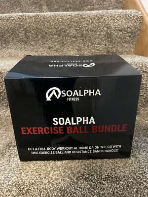 SoAlpha Premium Exercise Ball with 15LB Resistance Bands, Stability Base, Pump | eBay