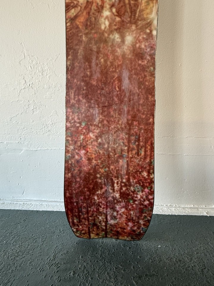 Arbor Annex Brian Iguchi Skull Bottom Snowboard Deck Directional Carve ...