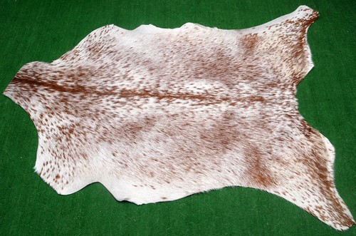 GOAT Western taxidermy Hide Rug Natural Pattern Fur Goat Hide Rode SA ...