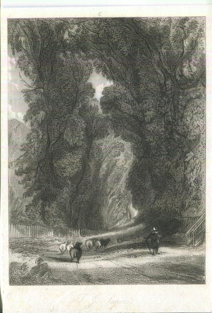 Antique Victorian Shepherd Black White Sheep Her Trees Pasture Path ...