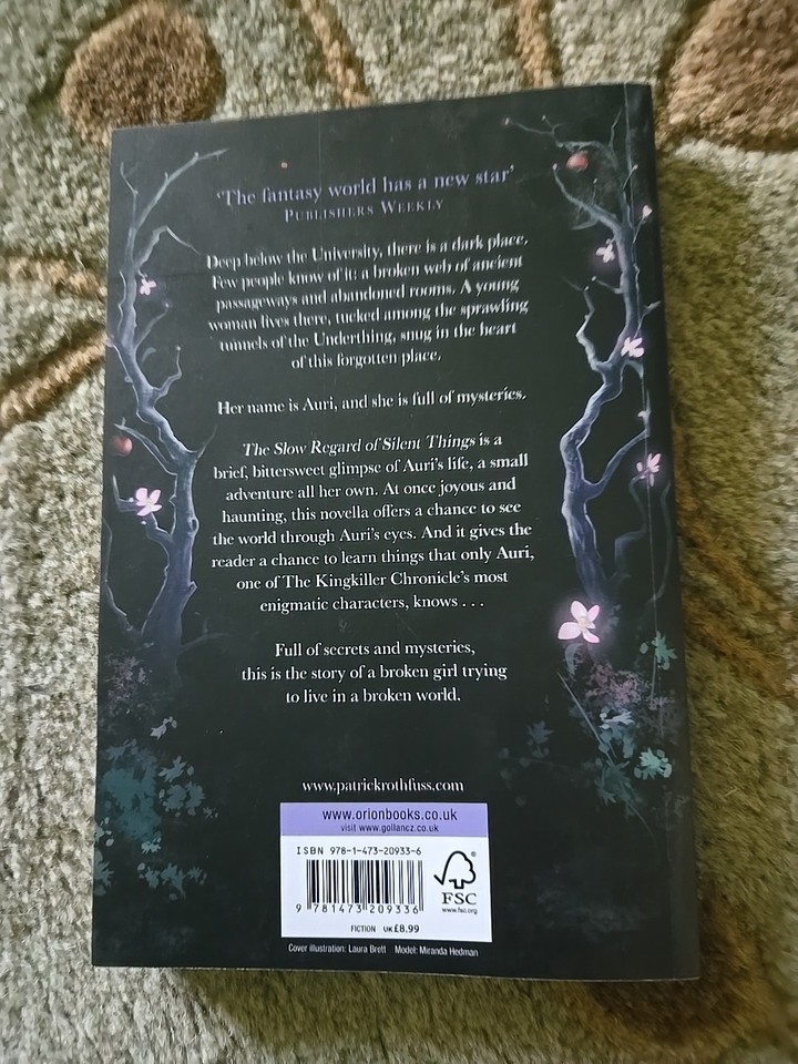 The Slow Regard of Silent Things (The Kingkiller Chronicle) - VERY GOOD ...