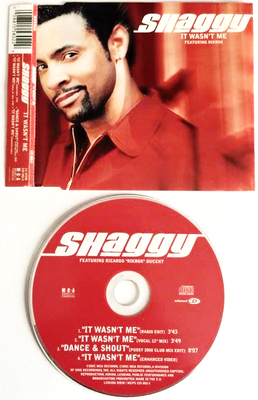Shaggy It Wasnt Me