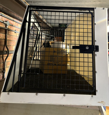 Custom Lintran box - Dog Transport Crate | eBay