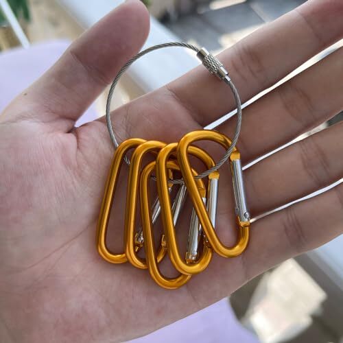 30 Pack 2 Inch Carabiner Clips D-Shape Spring Snap Keychain Hooks with ...