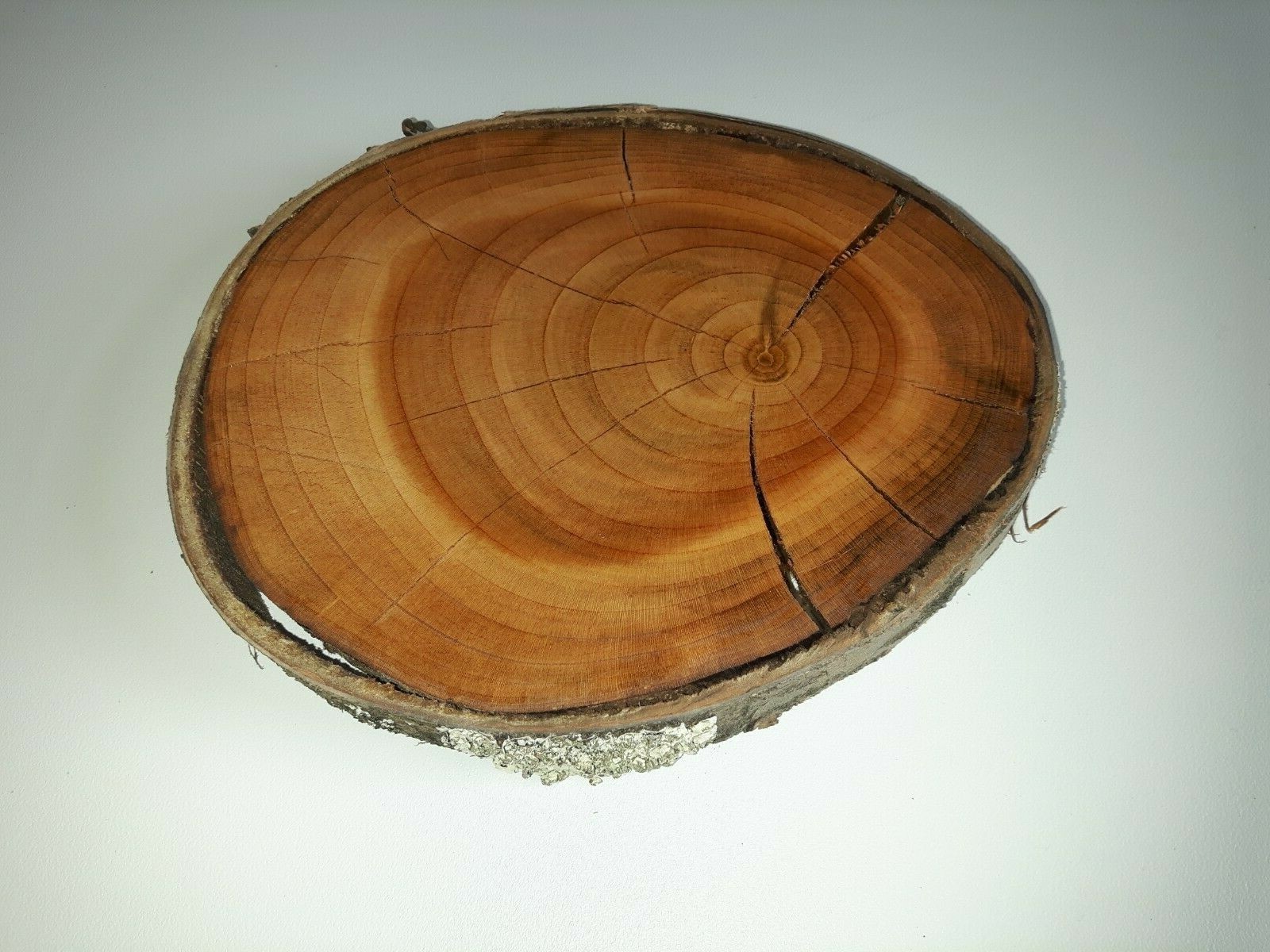 Kirsche Holz Stamm Scheibe Schnitzholz Kirschbaumholz geschliffen ...