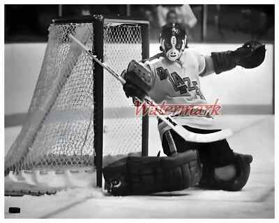 WHA 1974 Vancouver Blazers Goalie Don McLeod Game Action 8 X 10 Photo ...