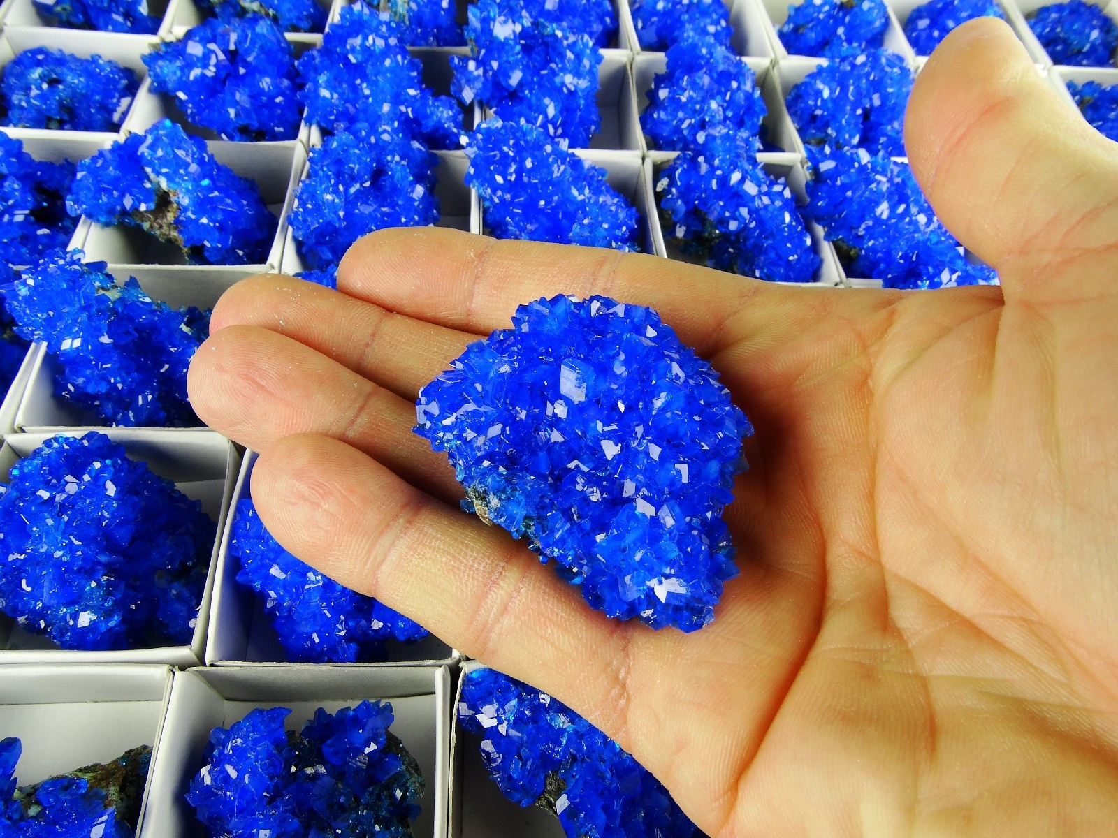 WHOLESALE BOX with CHALCANTHITE - 24 pcs - ELECTRIC BLUE alunite, alum ...