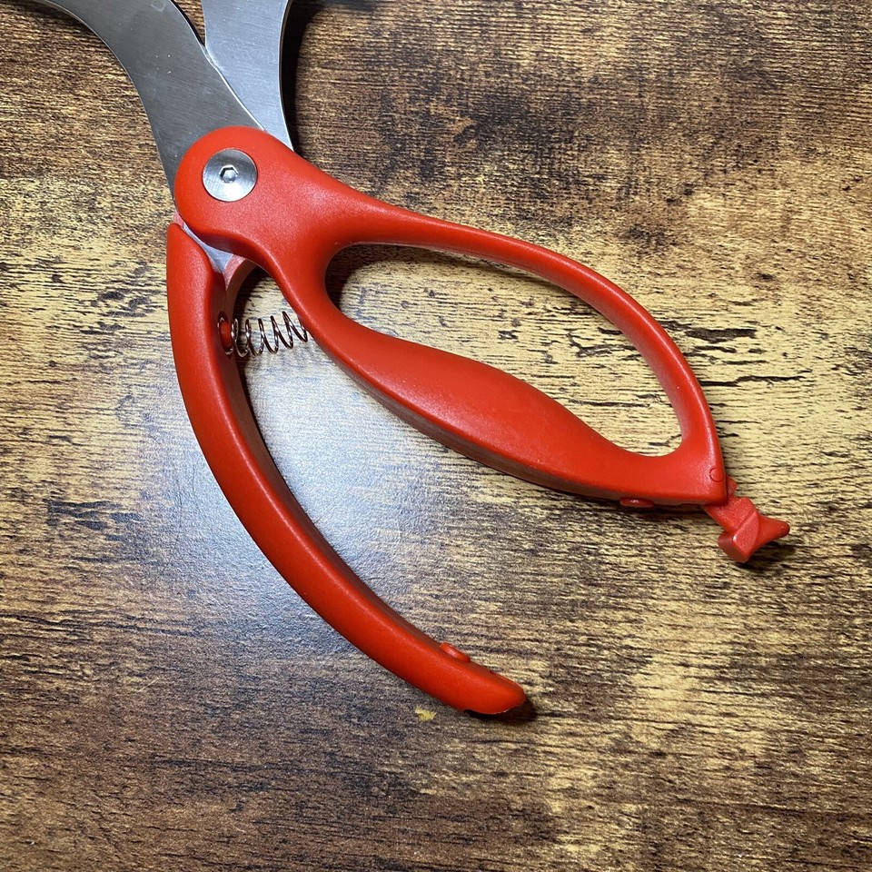 Dreamfarm Scizza Pizza Scissors, Safe for Non-Stick and Pizza Stone ...