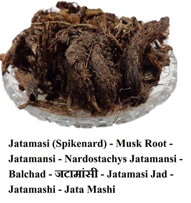 Jatamasi (Spikenard),Musk Root, Nardostachys Jatamansi - Balchad 50gm ...
