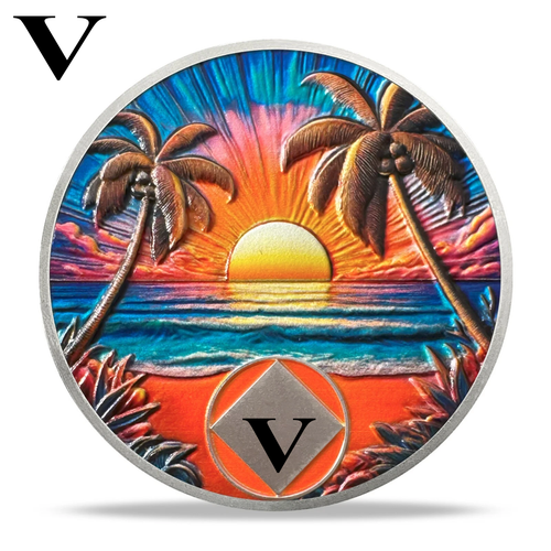 Sunset Beach 5 Year Sobriety Coin Narcotics Anonymous Medallion ...