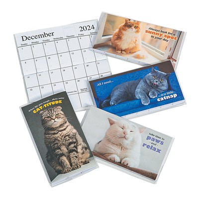 Fun Express 2024 - 2025 Fat Cats Pocket Calendars - 12 Pc | eBay
