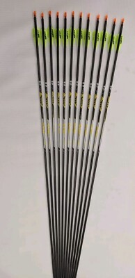Victory VAP Elite 600 Spine 31" Easton Lrg Rec Pin Nocks AAE Wave Vane ...