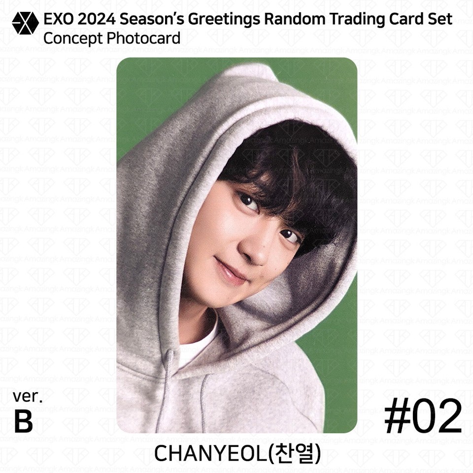 EXO 2024 Season's Greetings Random Trading Card Set Concept Selfie ...