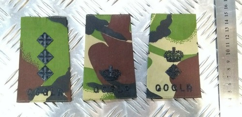 Woodland Dpm Mimetico Queen's Proprio Gurkha Logistic Regiment Qoglr ...