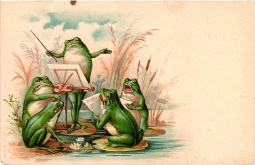 Frogs, Frog Music Band and Bandmaster, Vintage Litho Postcard | eBay