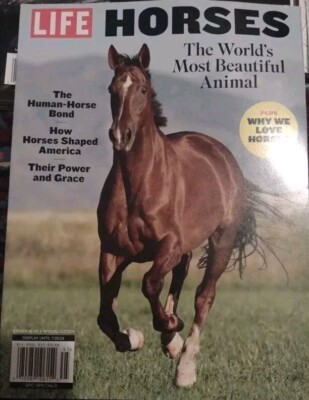 *NEW Life Magazine Horses The World’s Most Beautiful Animal 2024 | eBay