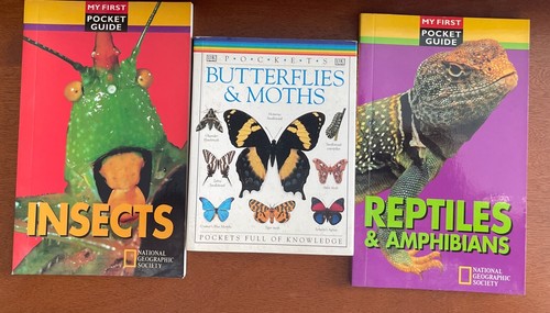 3 Pocket Books: Reptiles & Amphibians, Butterflies & Moths, Insects | eBay
