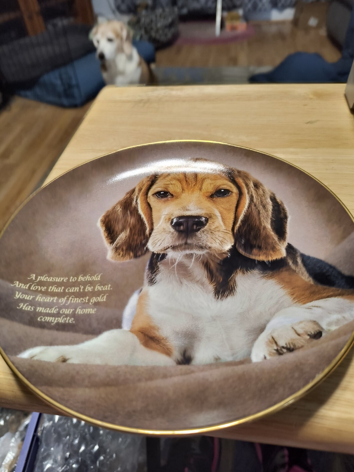 Heart of Gold Beagle Plate Danbury Mint Collection Cherished Beagles | eBay