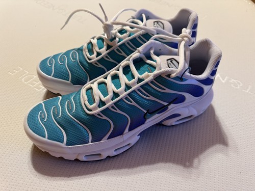 Nike Air Max Plus DM0032-102 Dusty Cactus Persian Violet Mens Size 10.5 ...