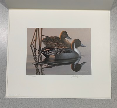 RW50 1983 - Federal Duck Stamp Print **PHIL SCHOLER** | eBay